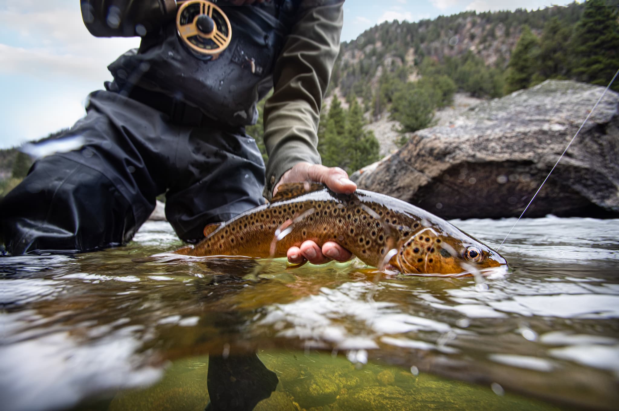 Trip Report: Willowfly Anglers, Colorado - April 2024 | Trident Fly Fishing