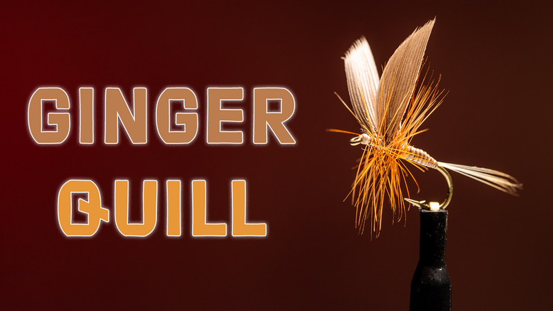 How to Tie the Ginger Quill Dry Fly | Trident Fly Fishing