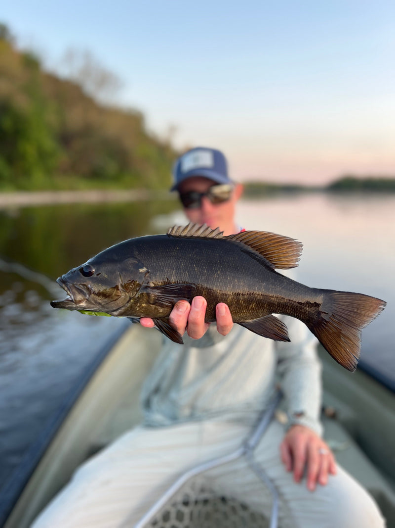 How to Choose the Best Fly Line for Bass | Trident Fly Fishing