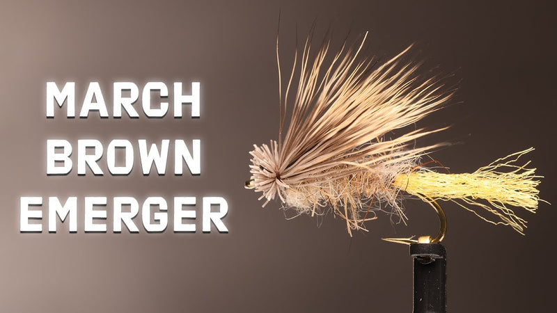 How to Tie the March Brown Emerger Fly Pattern | Trident Fly Fishing