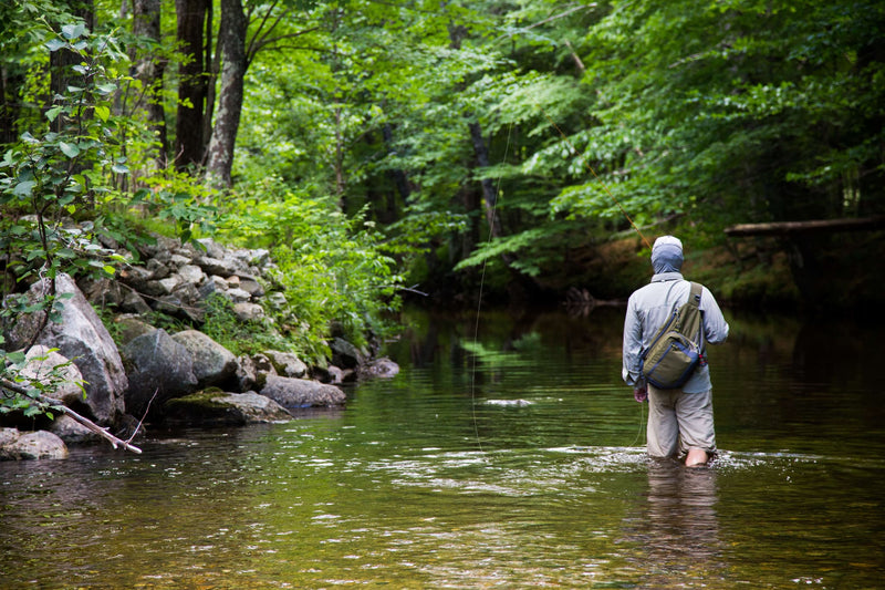 Best Small Stream Fly Rods of 2025 | Trident Fly Fishing