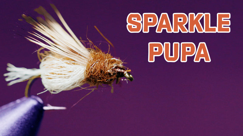 How To Tie LaFontaine's Sparkle Pupa | Trident Fly Fishing
