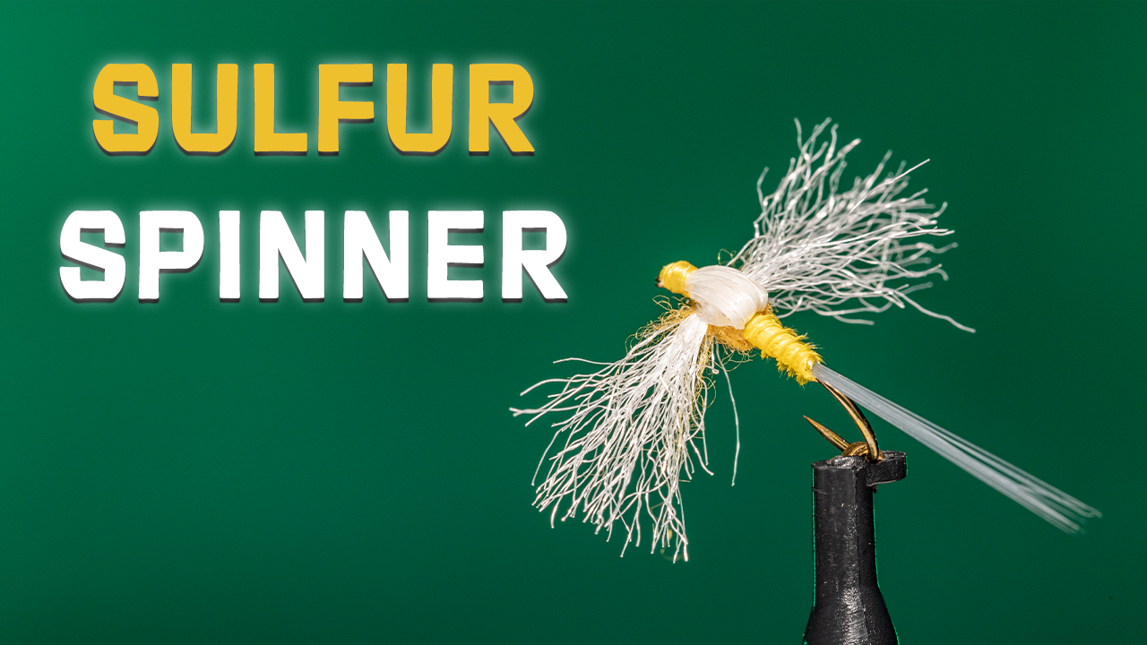 How to Tie the Sulphur Spinner Fly | Trident Fly Fishing