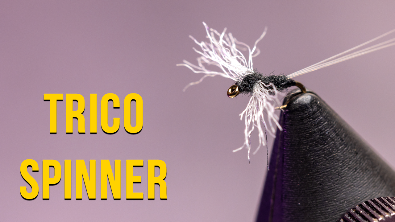How to Tie the Trico Spinner Fly Pattern | Trident Fly Fishing