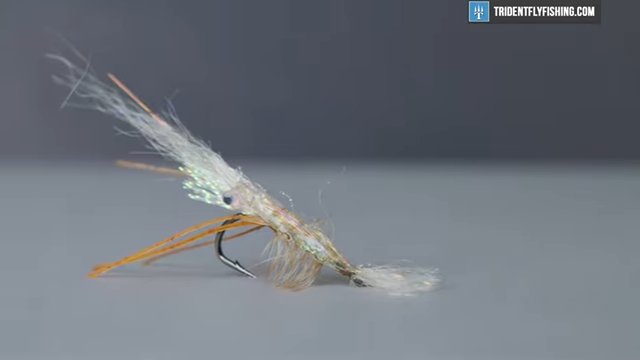 How to Tie the Bob's Ultra Shrimp Pattern | Trident Fly Fishing