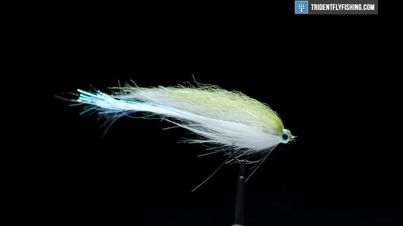 How to Tie the Cruiser Fly Sardina Pattern | Trident Fly Fishing