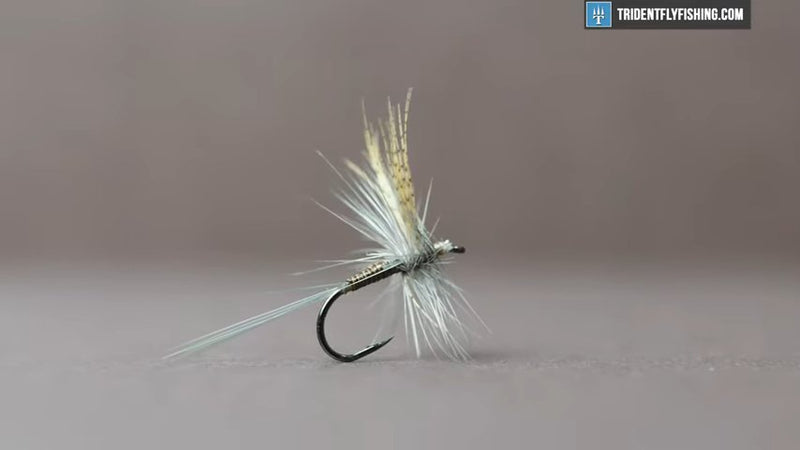 How to Tie the Quill Gordon Fly | Trident Fly Fishing