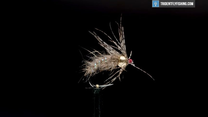 How to Tie the Holy Grail Caddis Fly Pattern | Trident Fly Fishing