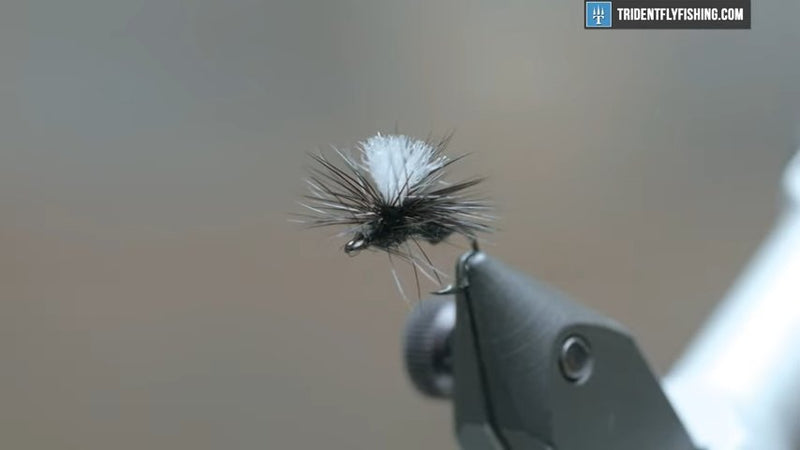 How to Tie the Parachute Ant Fly Pattern | Trident Fly Fishing