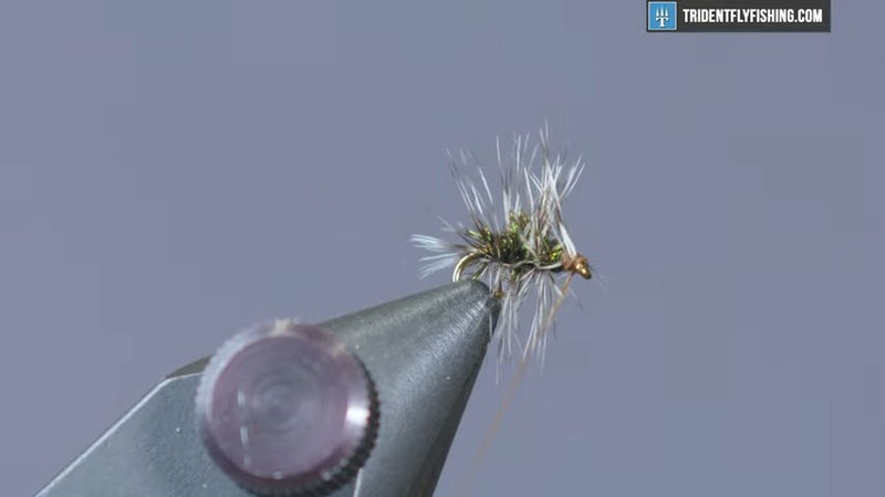 How to Tie the Griffith's Gnat Fly | Trident Fly Fishing