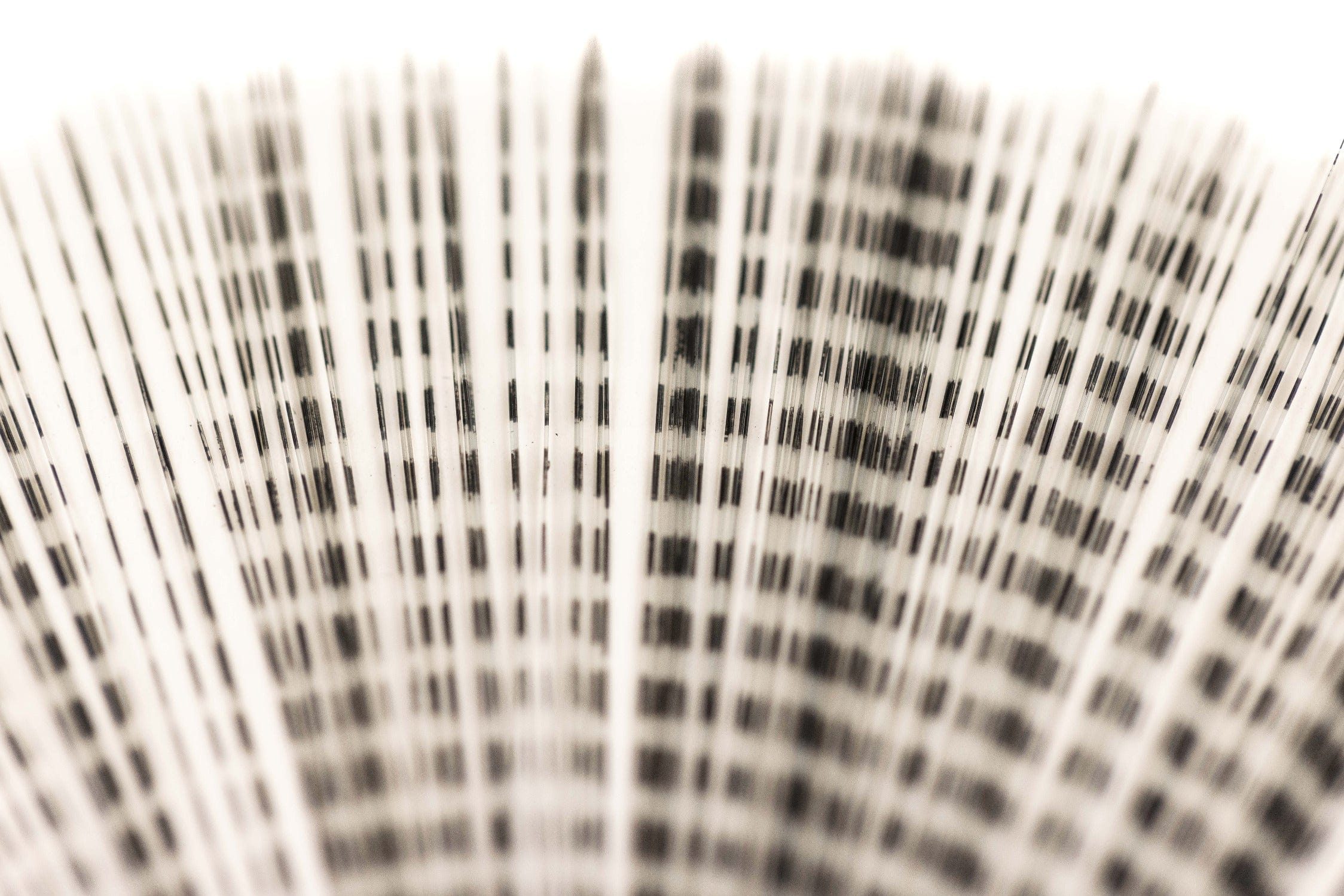 Hareline Barred Mayfly Tails | Trident Fly Fishing