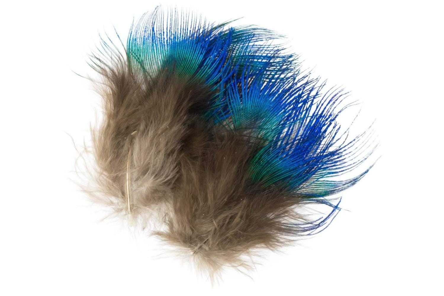 Hareline Blue Peacock Neck Feathers | Trident Fly Fishing