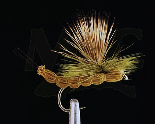 Extended Body Drake Fly | Trident Fly Fishing