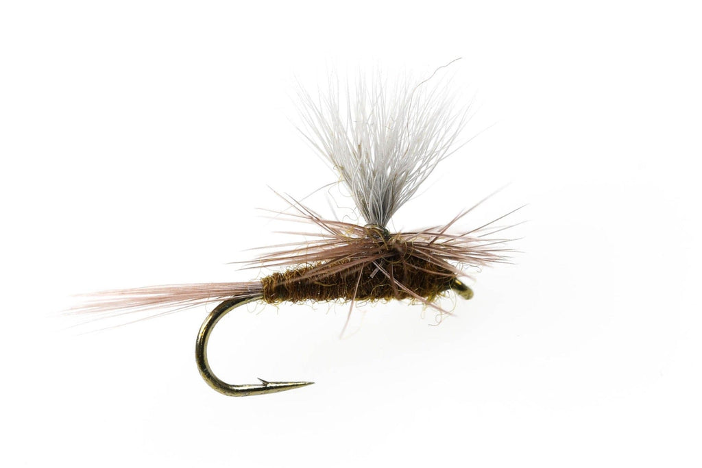 Parachute BWO Dry Fly | Trident Fly Fishing