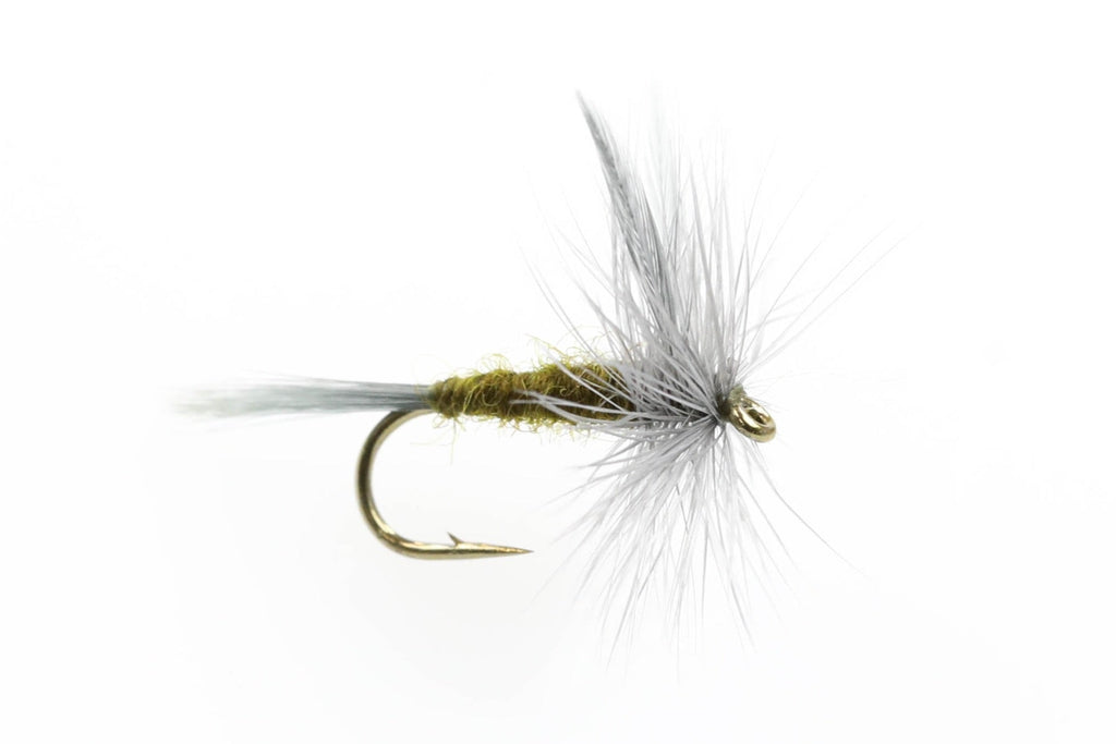 Traditional BWO Dry Fly | Trident Fly Fishing