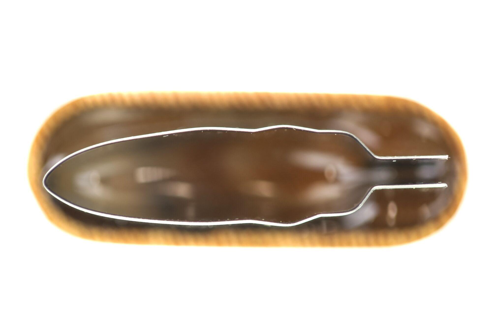 River Road Tomsu's Supreme Cricket Foam Cutter | Trident Fly Fishing