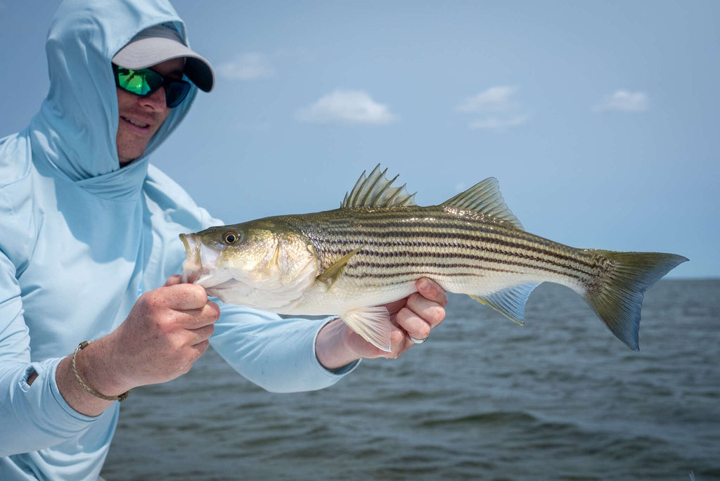 Gaspe Coastal | Trident Fly Fishing