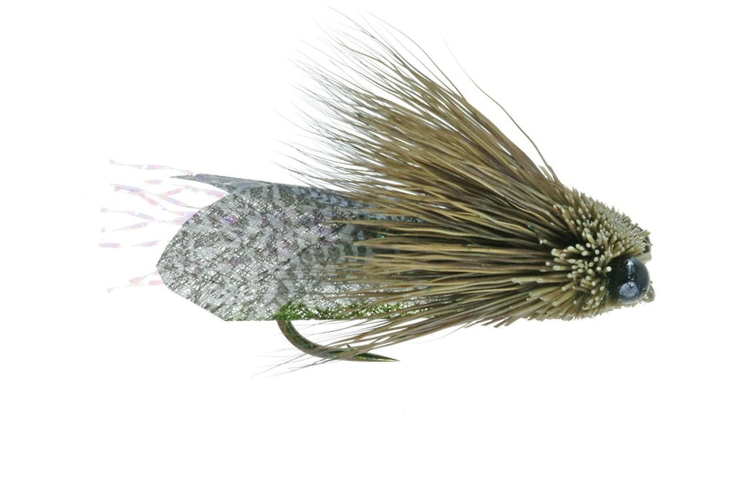 Clarks Cicada Fly | Trident Fly Fishing