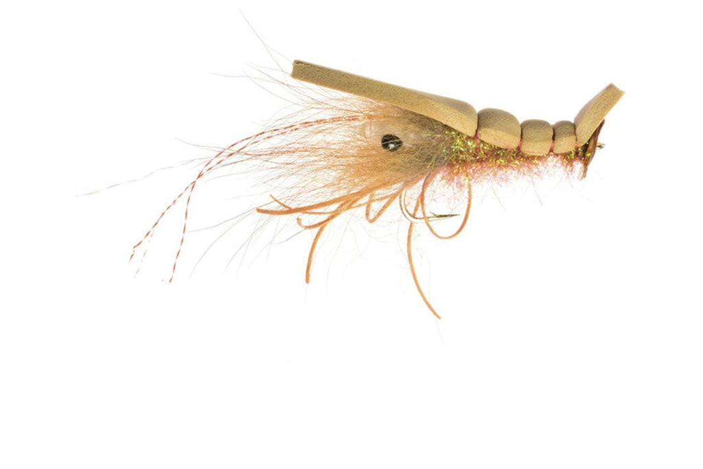 Disco Shrimp Fly | Trident Fly Fishing