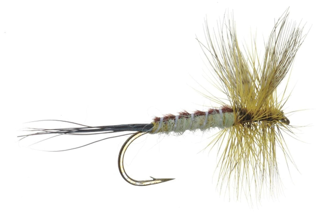 Evergreen Eastern Green Drake Dry Fly | Trident Fly Fishing