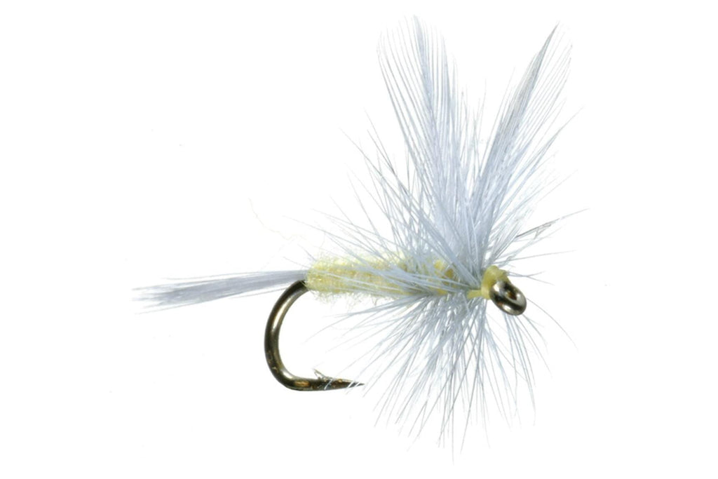 PMD Dry Fly | Trident Fly Fishing