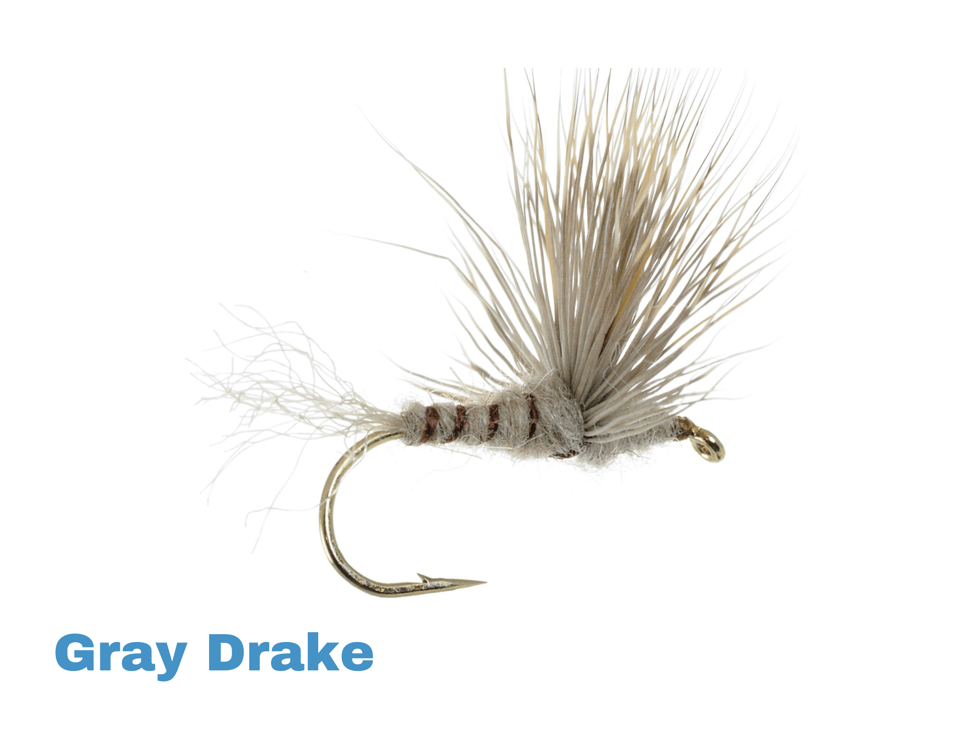 Sparkle Dun Dry Fly | Trident Fly Fishing