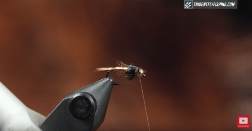 How to Tie a Copper John Nymph Fly Pattern - Trident Fly Fishing