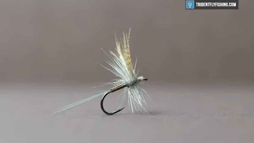 Quill Gordon Wet Fly