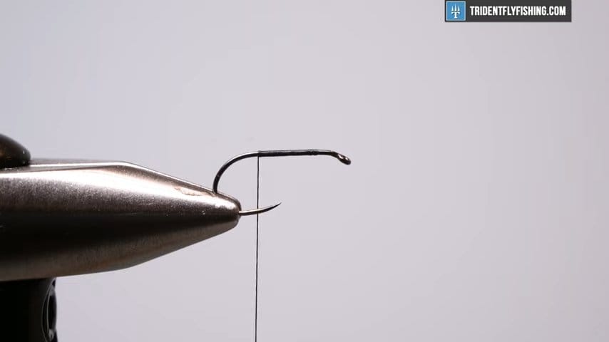 How to Tie the Fur Ant Fly Pattern - Trident Fly Fishing