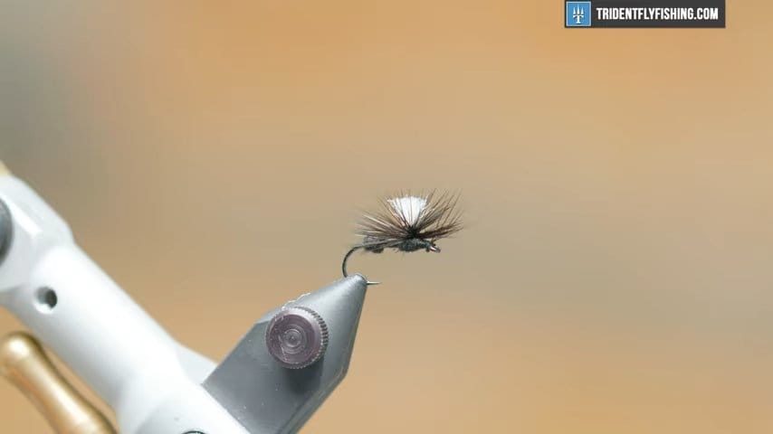 How to Tie the Parachute Ant Fly Pattern - Trident Fly Fishing