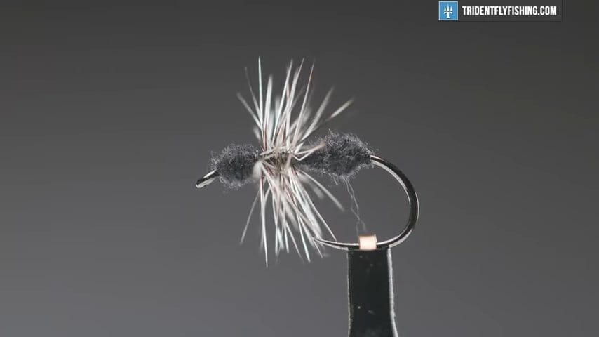 How to Tie the Fur Ant Fly Pattern - Trident Fly Fishing