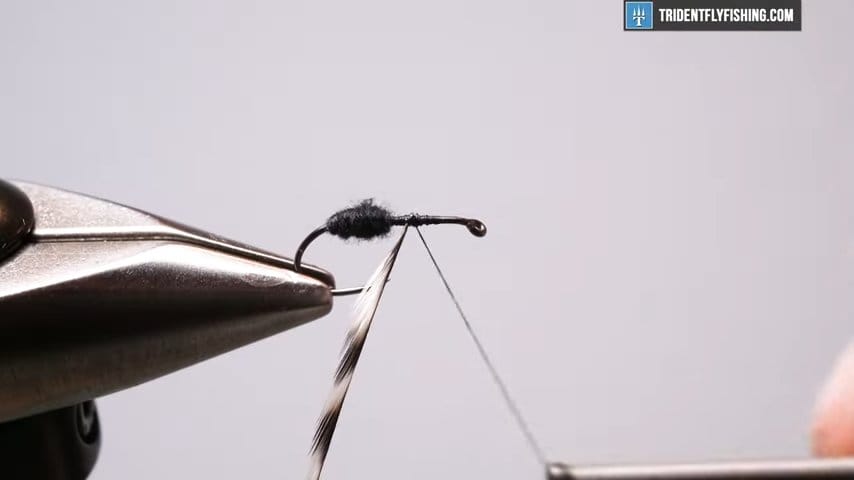 How to Tie the Fur Ant Fly Pattern - Trident Fly Fishing