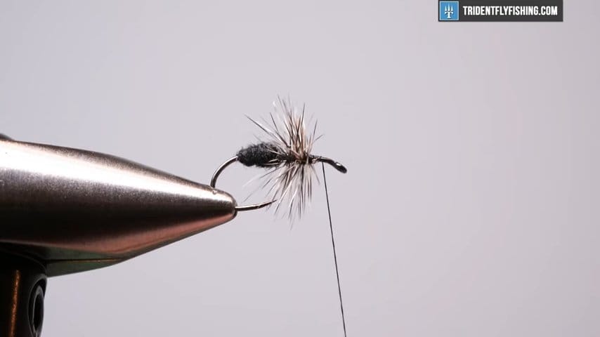How to Tie the Fur Ant Fly Pattern - Trident Fly Fishing