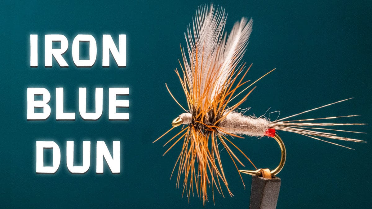 How to Tie the Iron Blue Dun Fly - Trident Fly Fishing