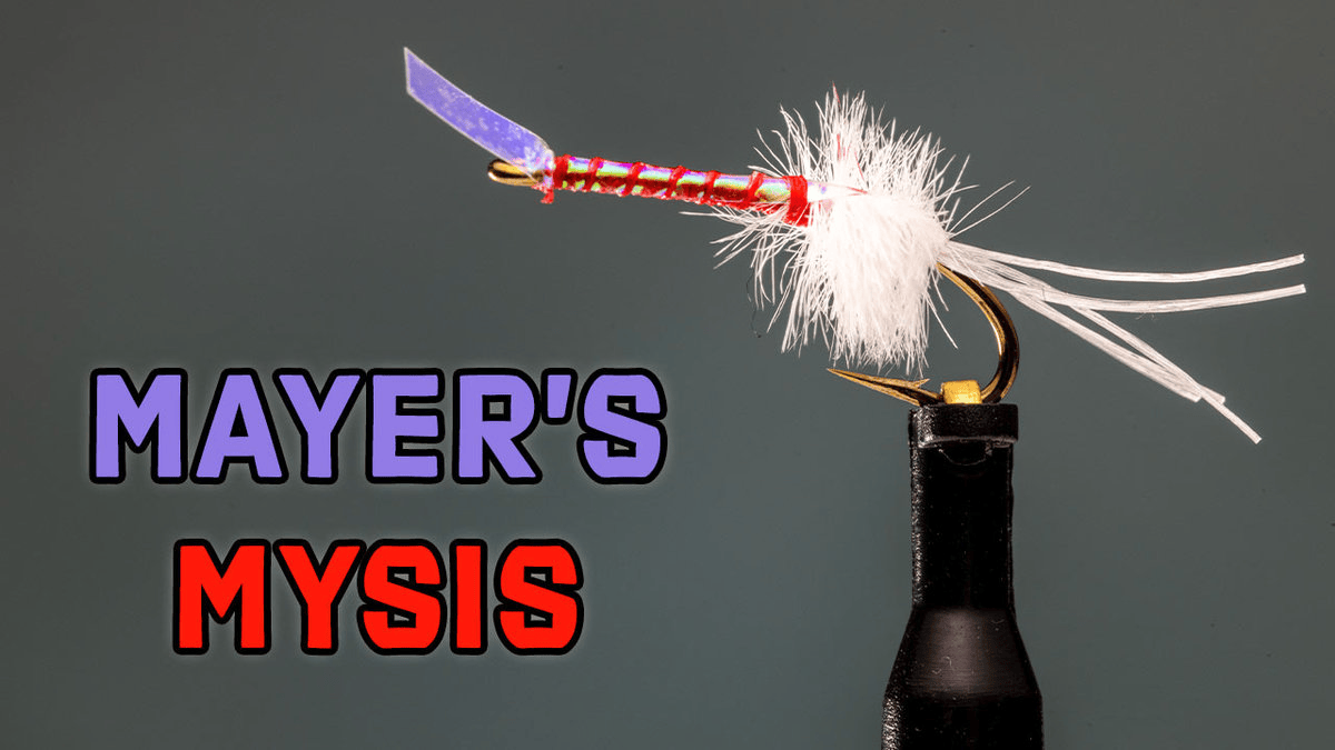 How to Tie the Mayer's Mysis Fly Pattern - Trident Fly Fishing